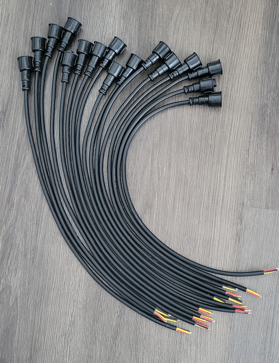 Female Pigtails – Visionary Light Shows, LLC