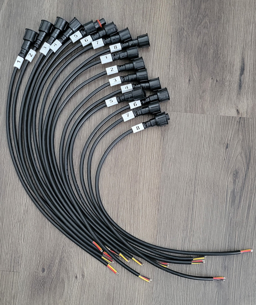 Female Pigtails – Visionary Light Shows, LLC